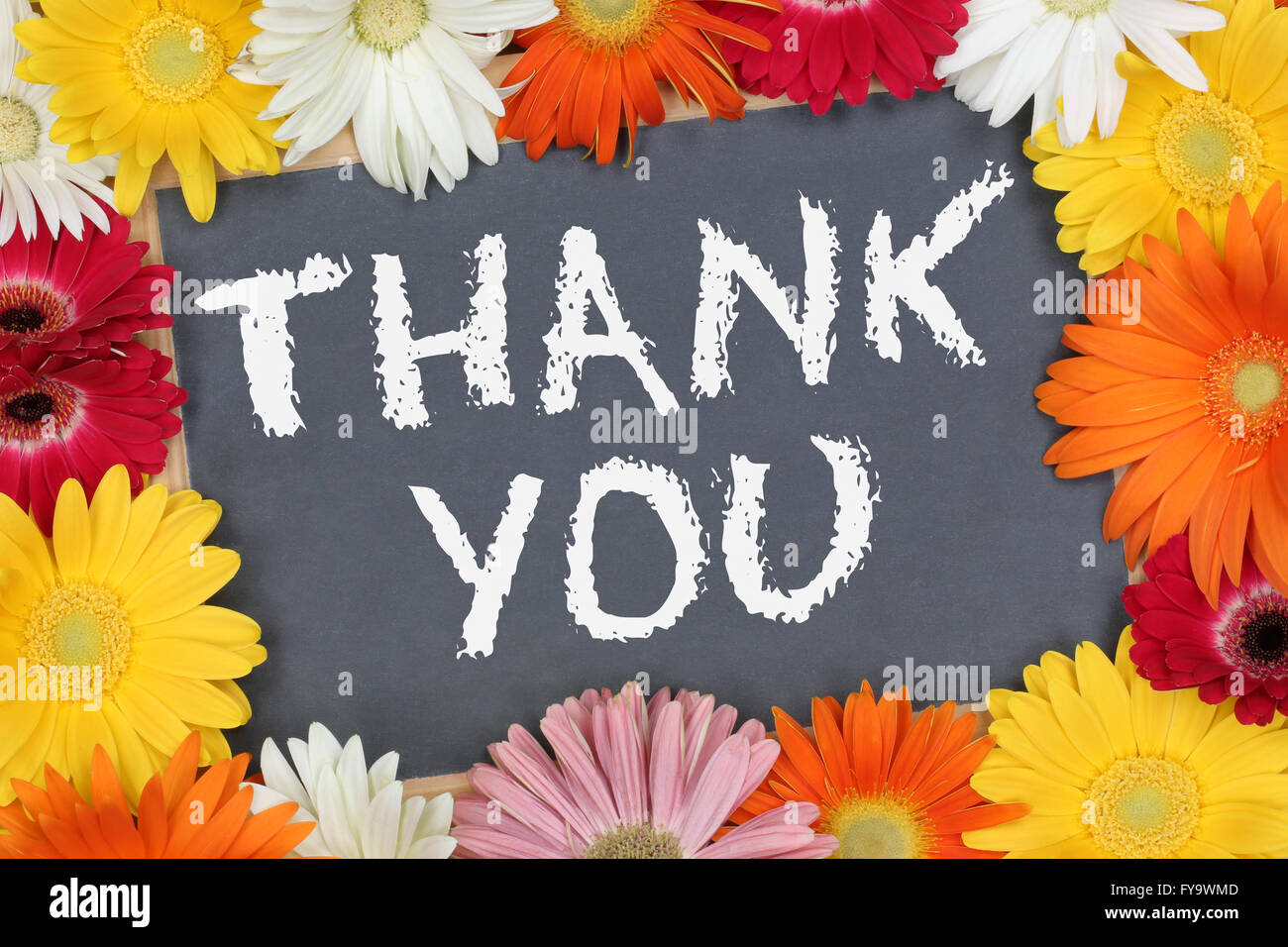 Danke-Karte-Garten mit bunten Blumen Blüte Board Schild Stockfotografie ...