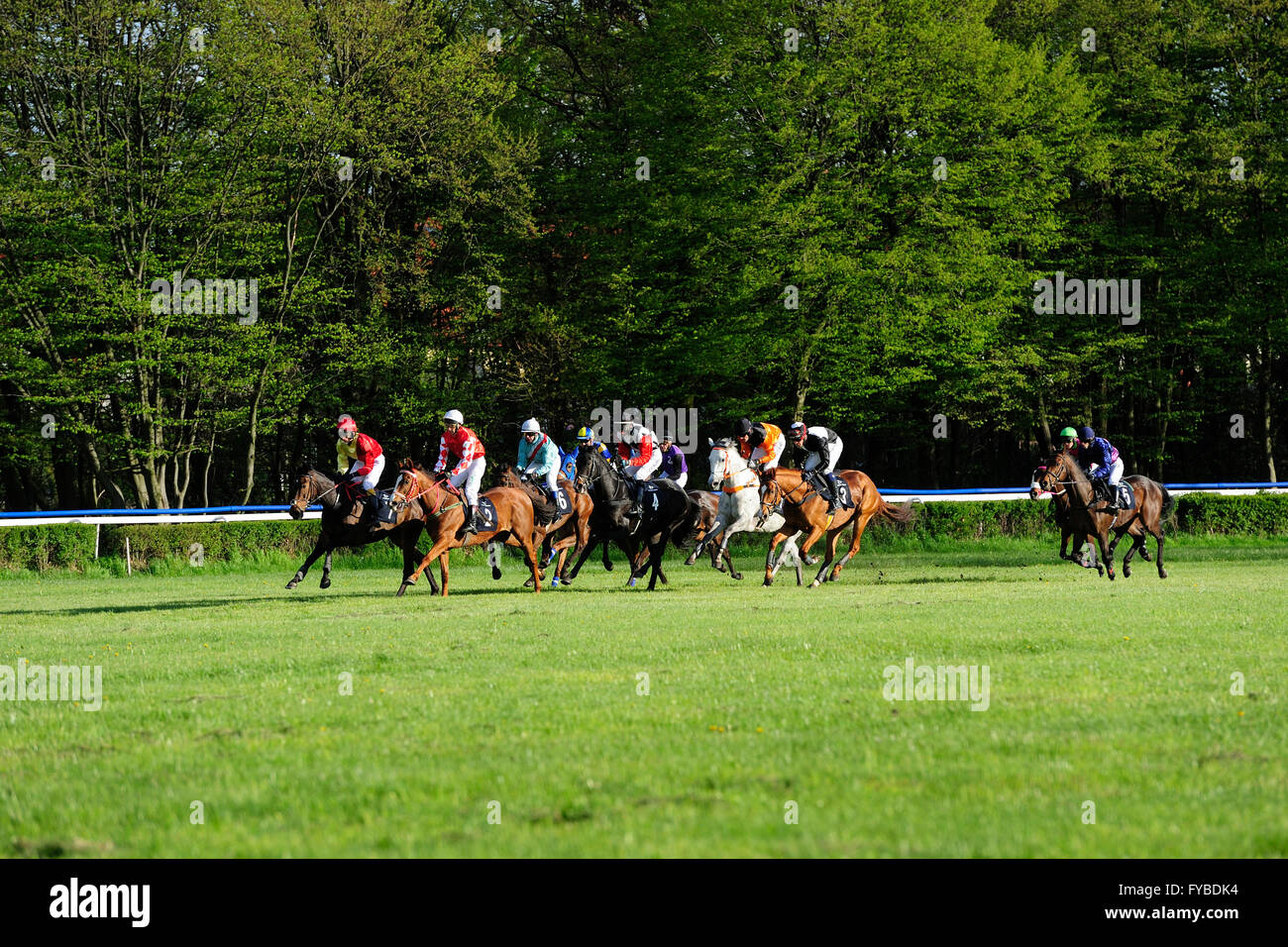 Vierte lief sinnarka m novak racing -Fotos und -Bildmaterial in hoher ...