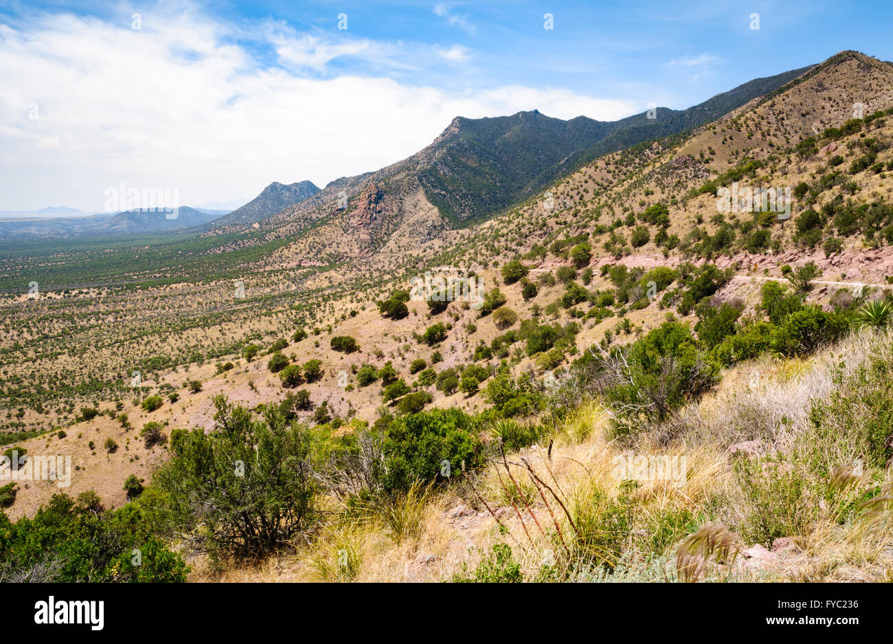 Vasquez de coronado -Fotos und -Bildmaterial in hoher Auflösung – Alamy