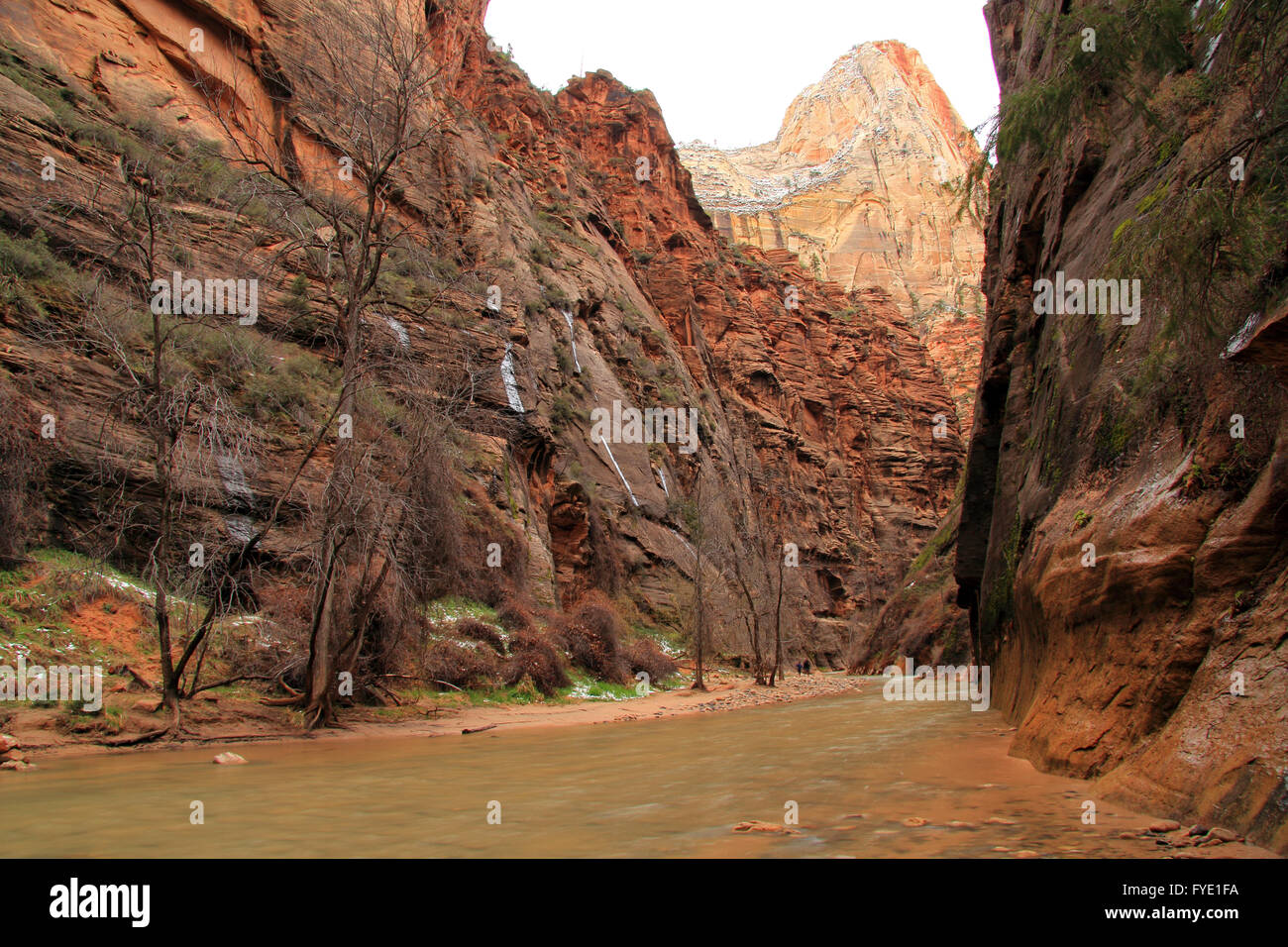 Enge von zion -Fotos und -Bildmaterial in hoher Auflösung – Alamy