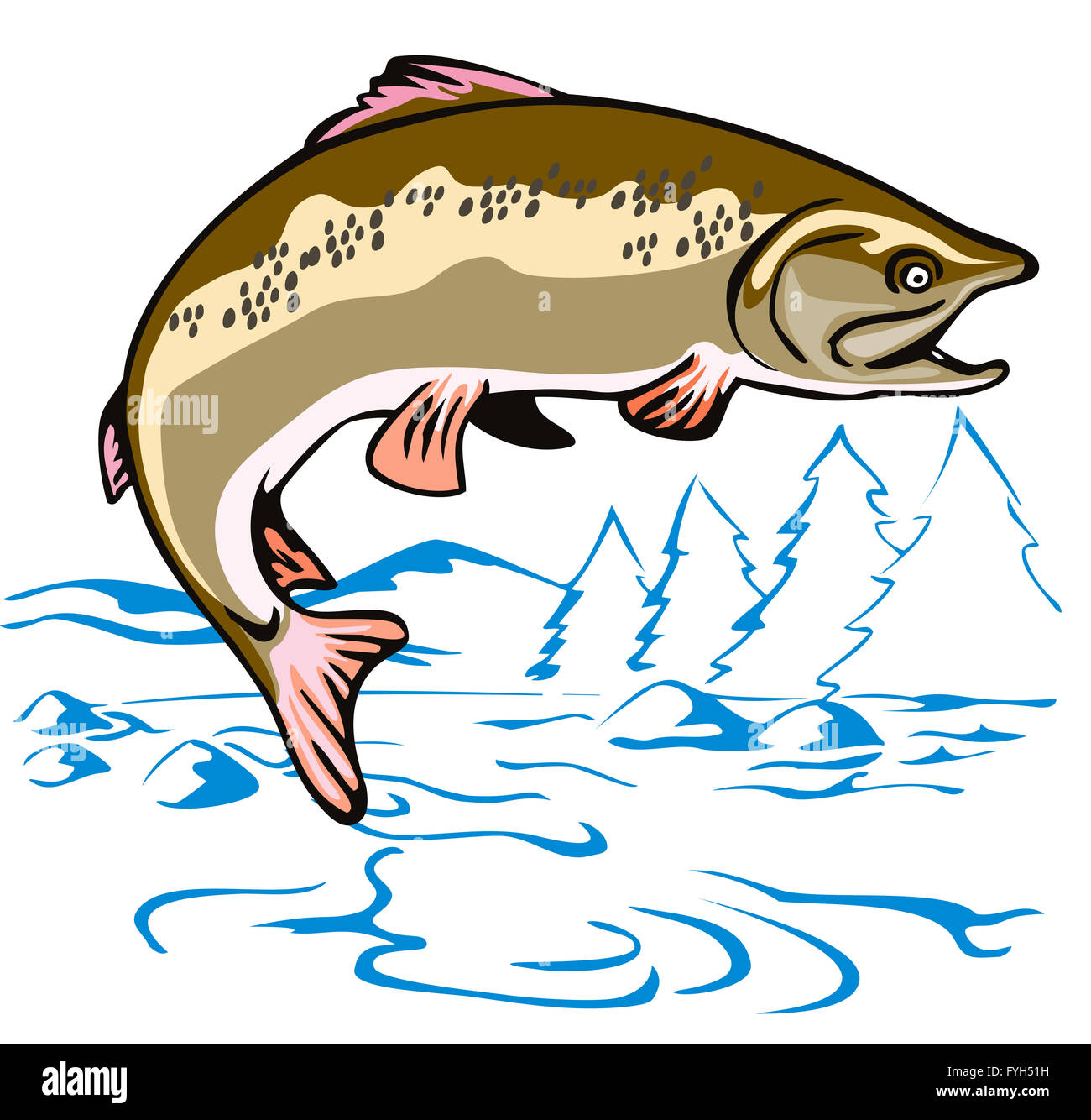 Forelle Fisch springen Stockfotografie - Alamy