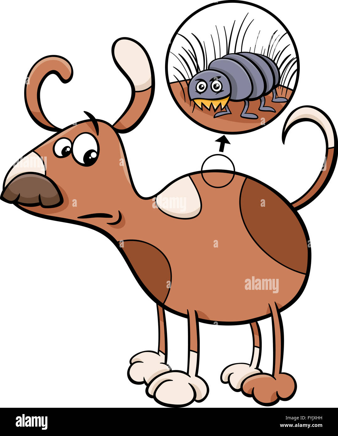 Hund und floh Cartoon-illustration Stockfotografie - Alamy