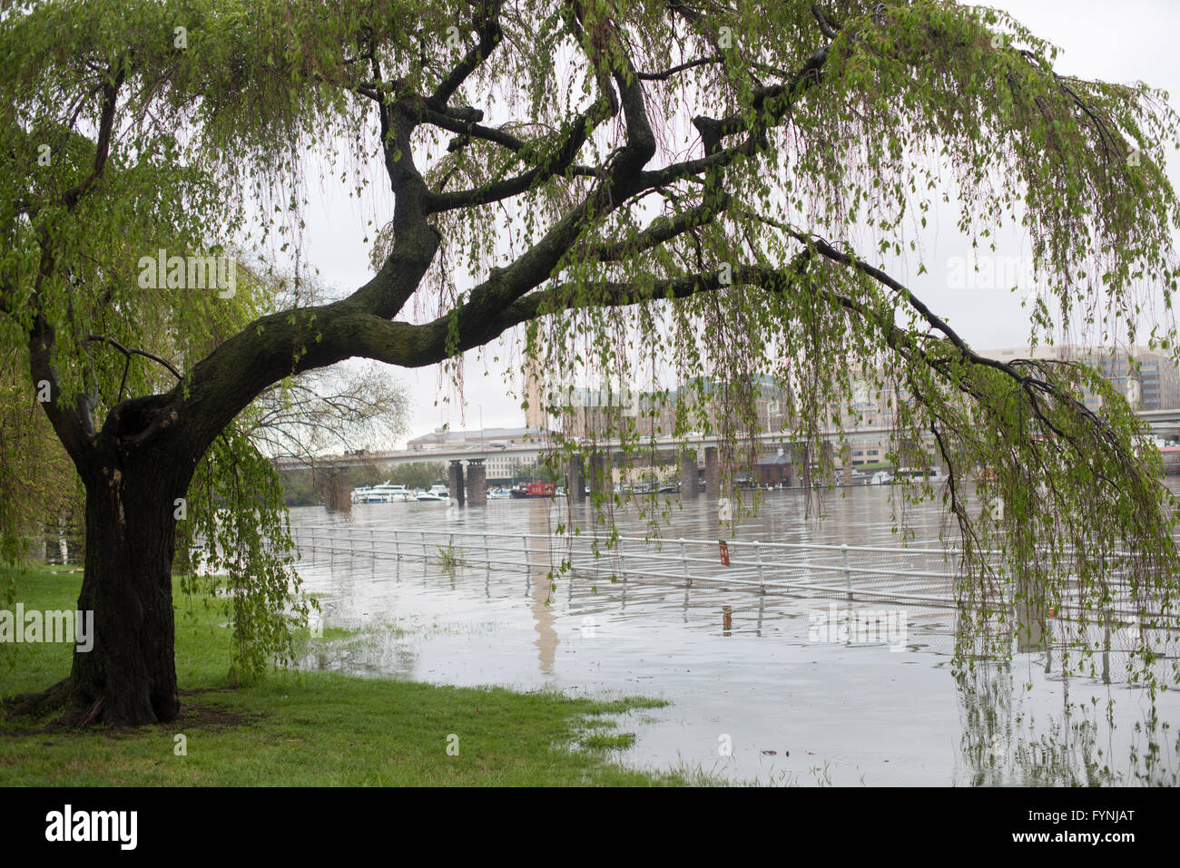 Hains point -Fotos und -Bildmaterial in hoher Auflösung – Alamy
