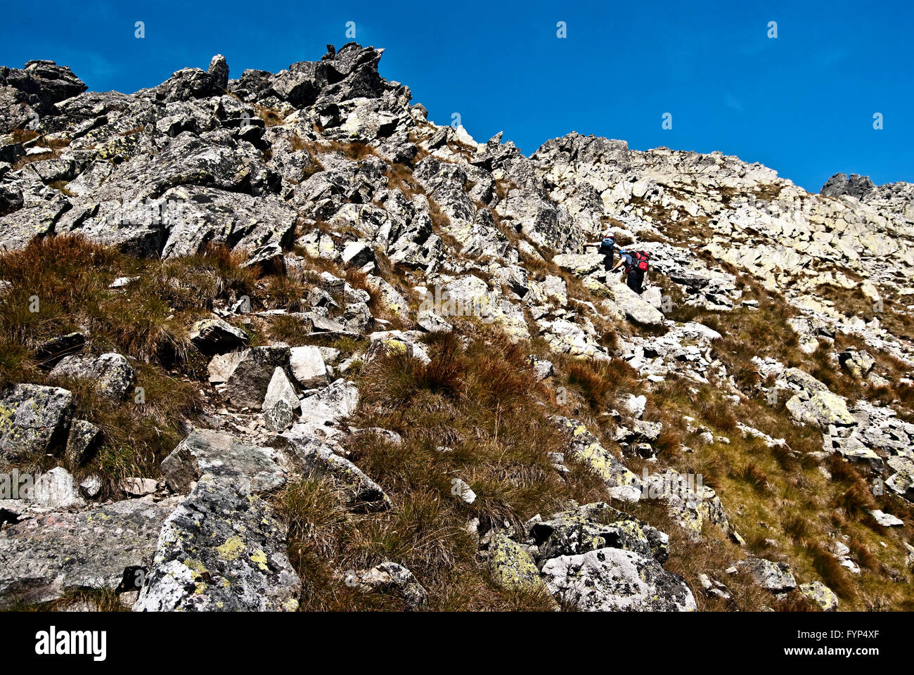Hohe tatra -Fotos und -Bildmaterial in hoher Auflösung – Alamy