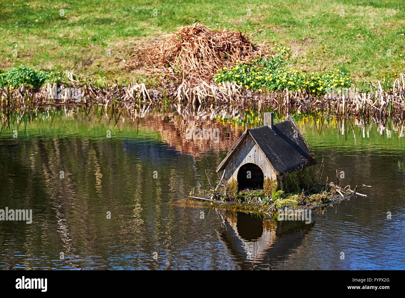 Entenhaus auf dem wasser treiben -Fotos und -Bildmaterial in hoher ...