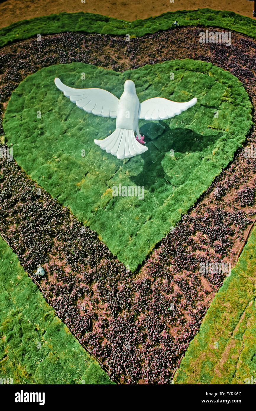 Symbole der friedenstaube -Fotos und -Bildmaterial in hoher Auflösung ...