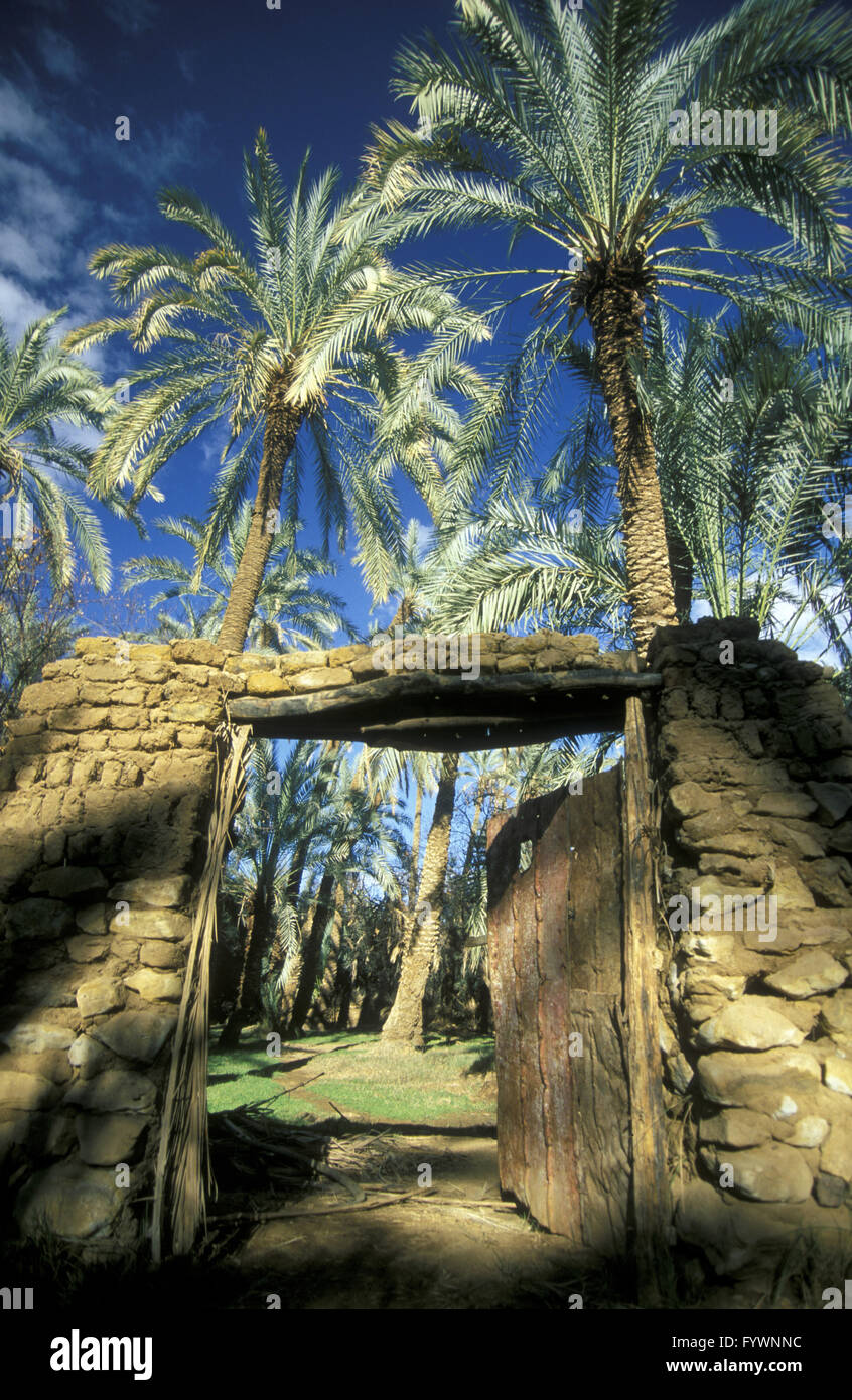 Oase afrika -Fotos und -Bildmaterial in hoher Auflösung – Alamy