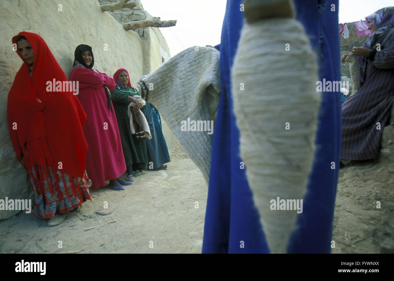 Farafra oase -Fotos und -Bildmaterial in hoher Auflösung – Alamy