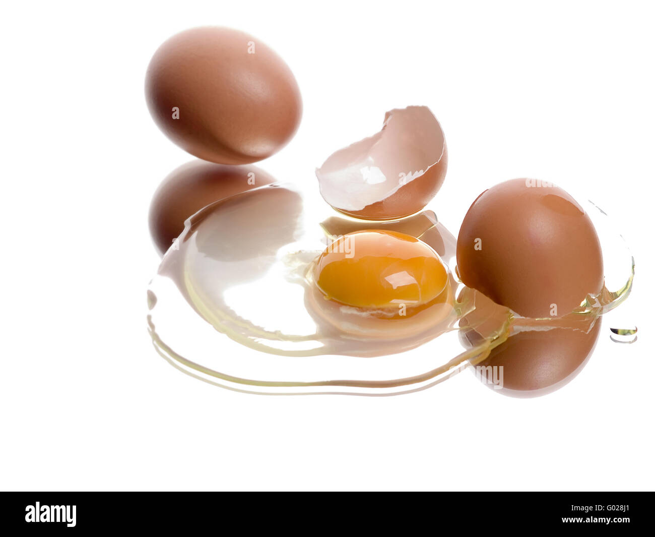 Dotter eiklar -Fotos und -Bildmaterial in hoher Auflösung – Alamy