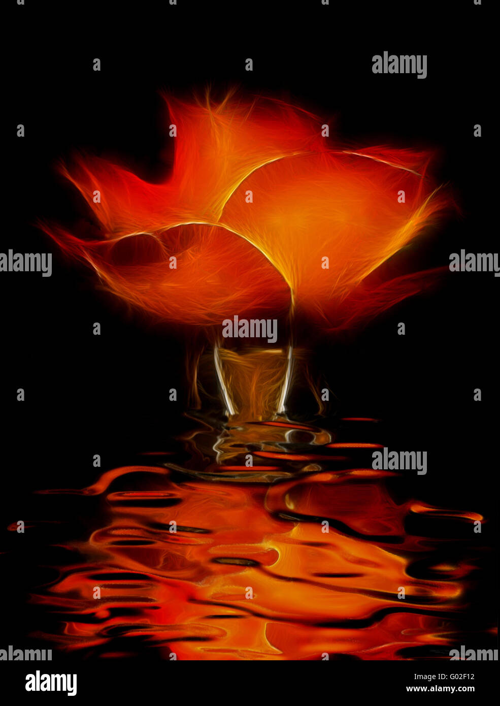 Feuer stieg -Fotos und -Bildmaterial in hoher Auflösung – Alamy