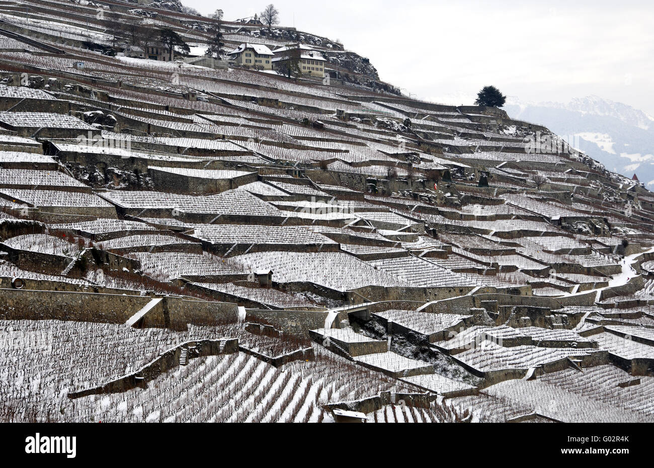 Lavaux unesco welterbe region -Fotos und -Bildmaterial in hoher ...
