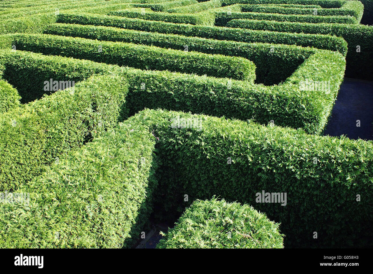 Inneres Ohr Stockfotos & Inneres Ohr Bilder - Alamy