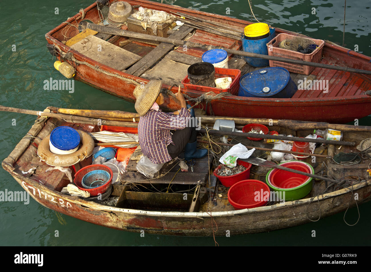 Weiblicher fisch -Fotos und -Bildmaterial in hoher Auflösung – Alamy