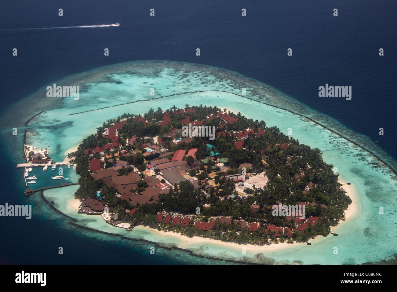 Unterwasserwelt malediven -Fotos und -Bildmaterial in hoher Auflösung ...