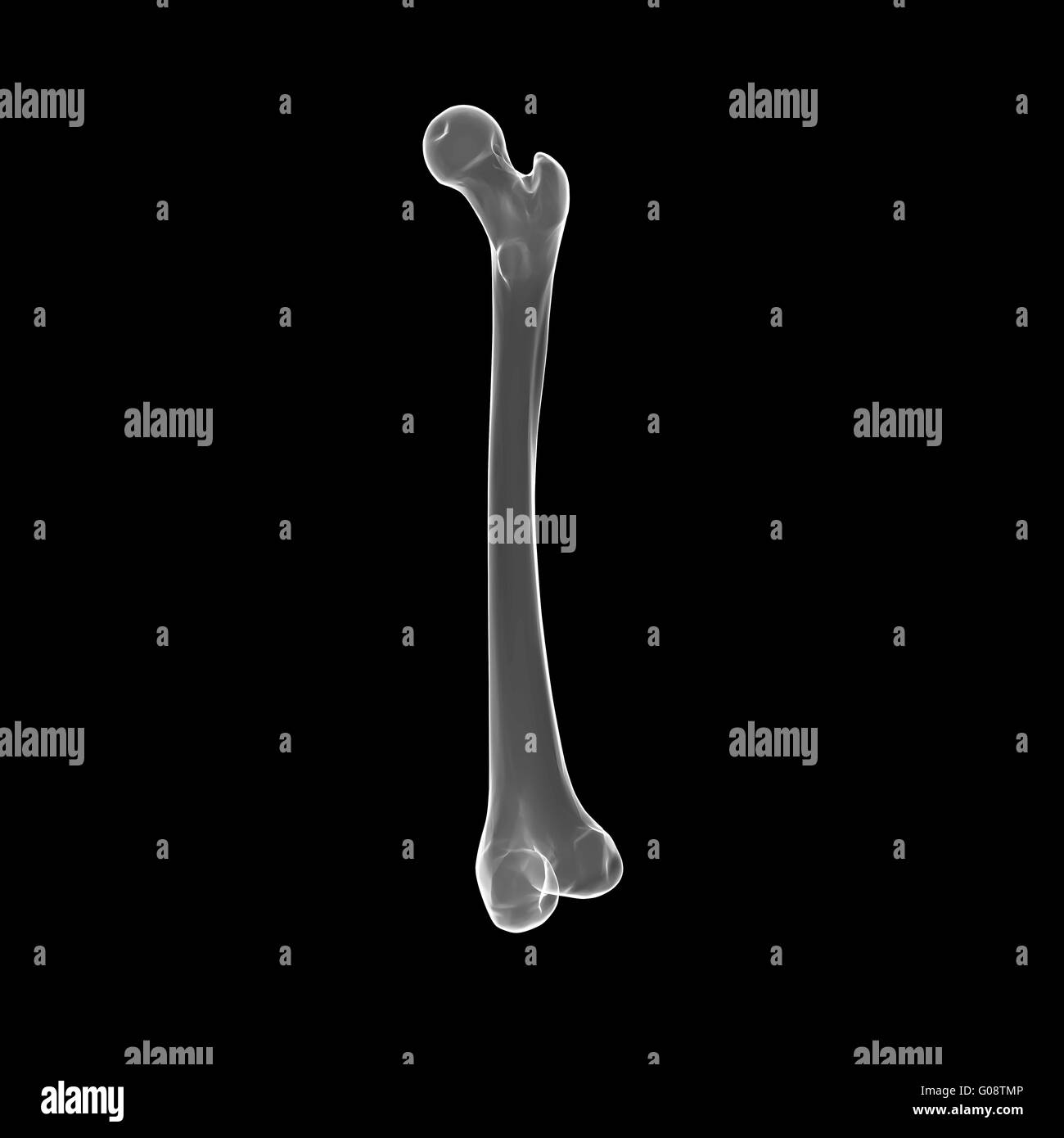 Menschlicher knochen -Fotos und -Bildmaterial in hoher Auflösung – Alamy