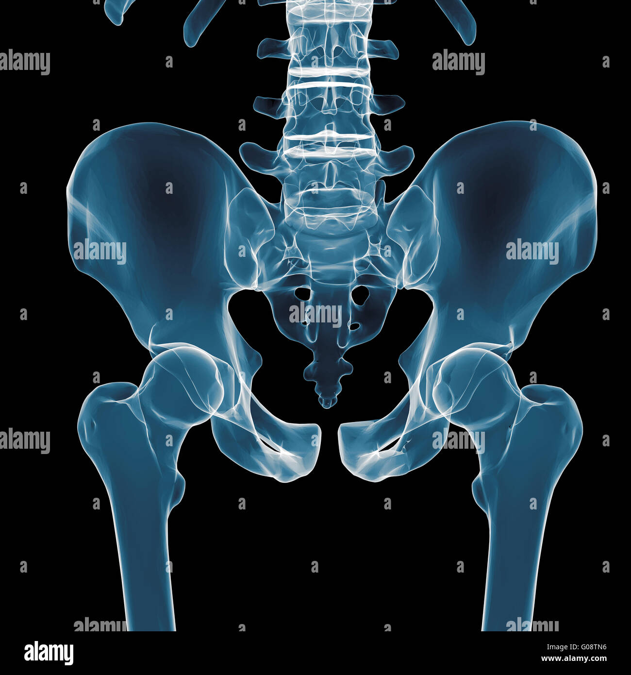 Anatomie des menschlichen beckens -Fotos und -Bildmaterial in hoher ...