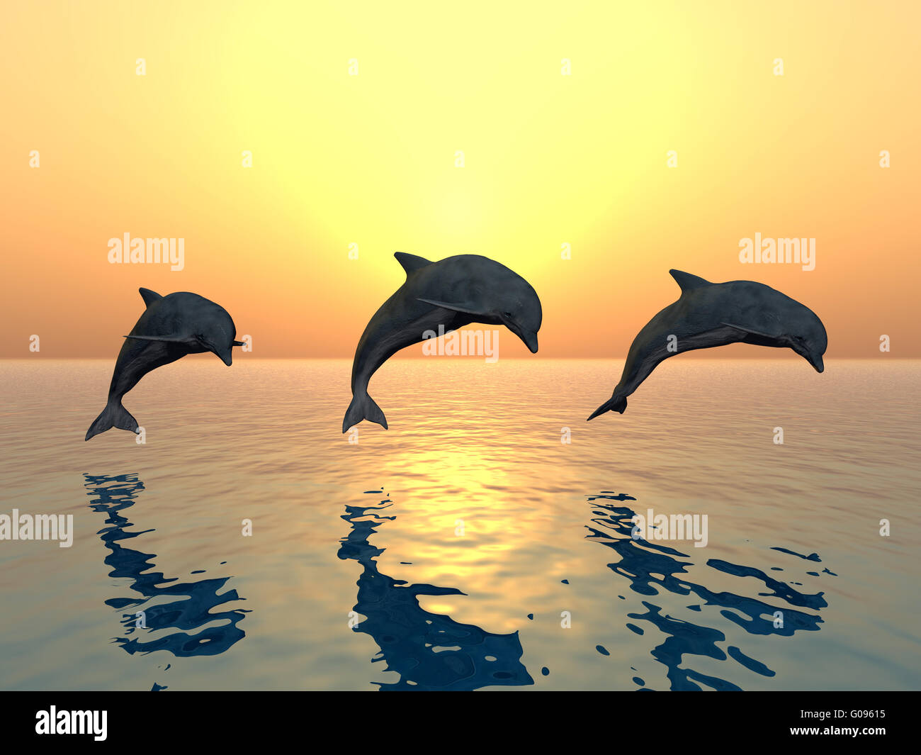 Springende delphine -Fotos und -Bildmaterial in hoher Auflösung – Alamy