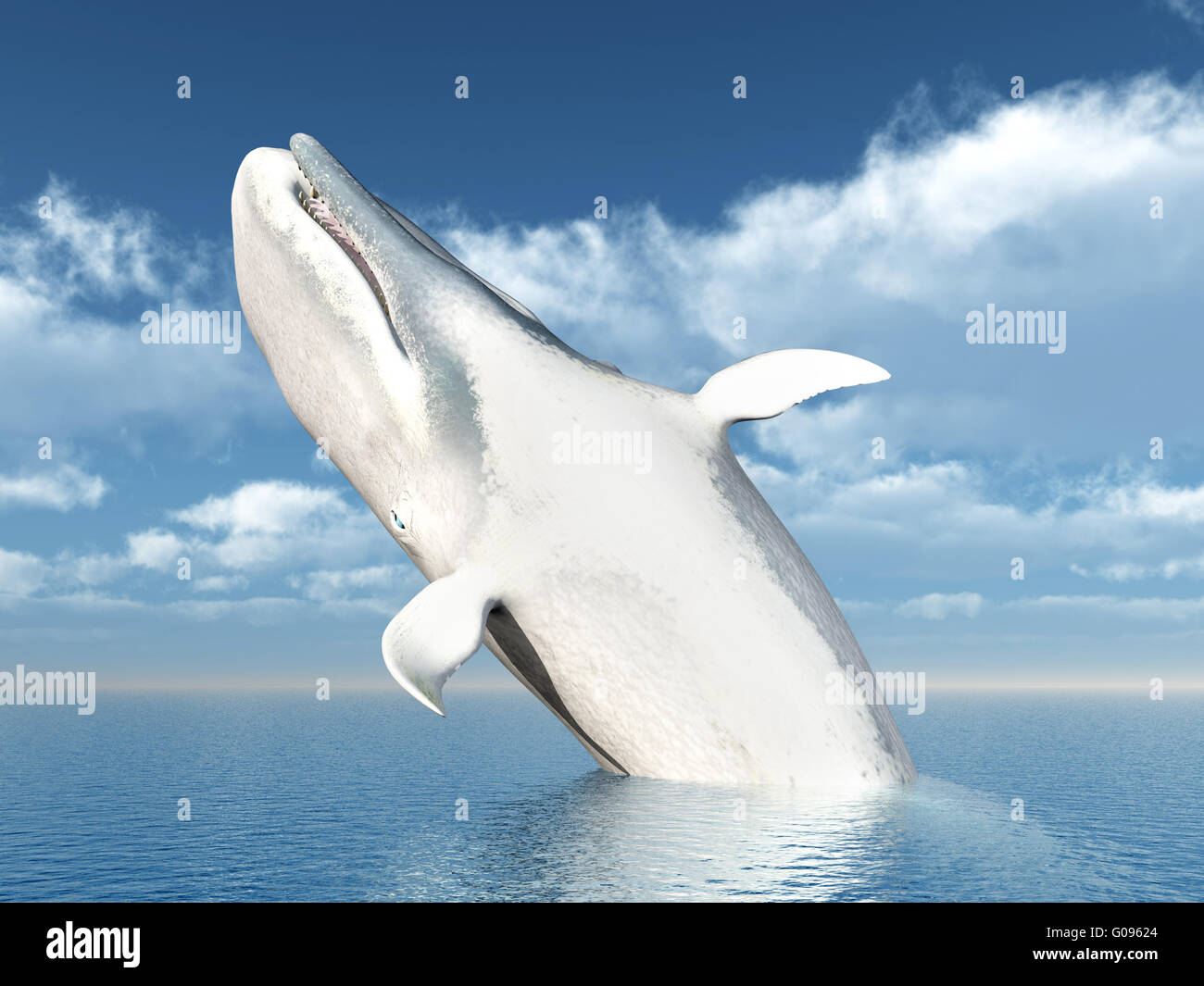 Pottwal pottwal -Fotos und -Bildmaterial in hoher Auflösung – Alamy