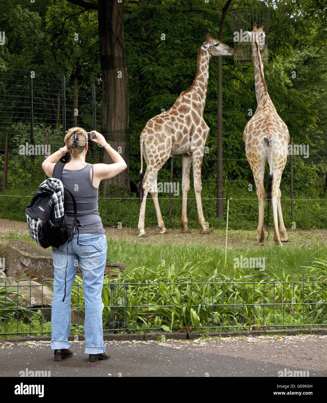 Dortmunder tierpark Stockfotos und -bilder Kaufen - Alamy