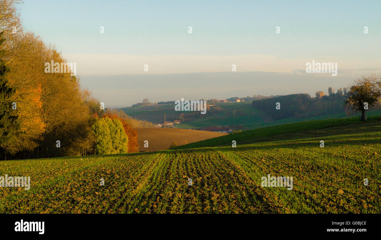 Wellige landschaft -Fotos und -Bildmaterial in hoher Auflösung – Alamy
