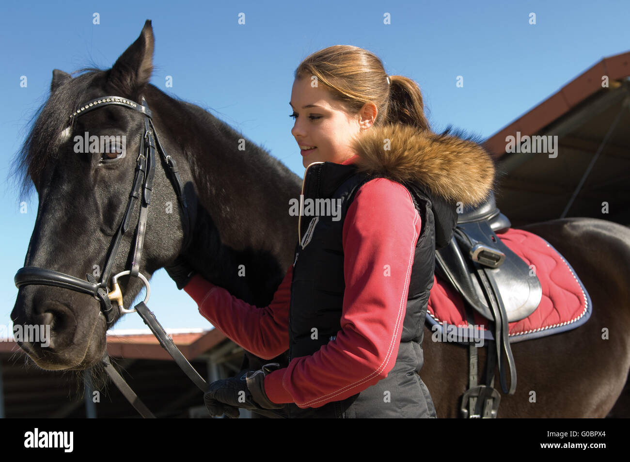 Orse riding -Fotos und -Bildmaterial in hoher Auflösung – Alamy