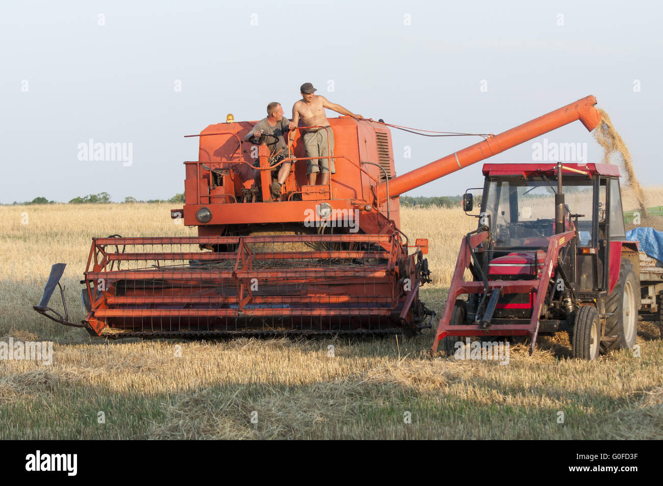 Hafer ernten -Fotos und -Bildmaterial in hoher Auflösung – Alamy