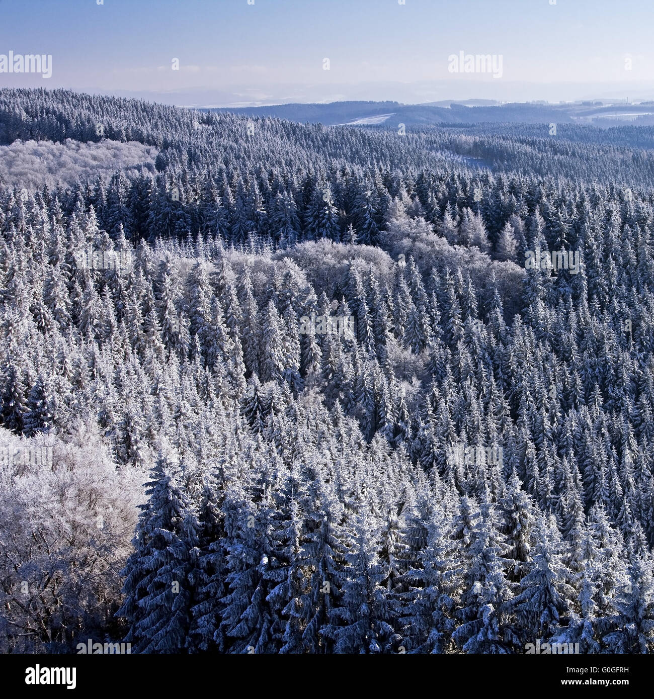 Verschneiter fichtenwald -Fotos und -Bildmaterial in hoher Auflösung ...