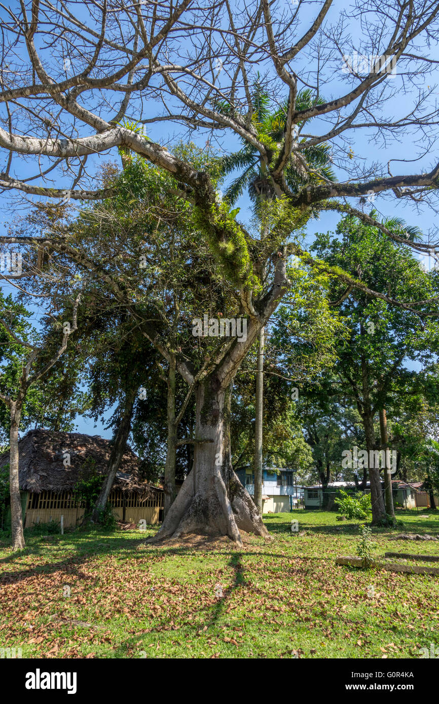Matias de galvez -Fotos und -Bildmaterial in hoher Auflösung – Alamy
