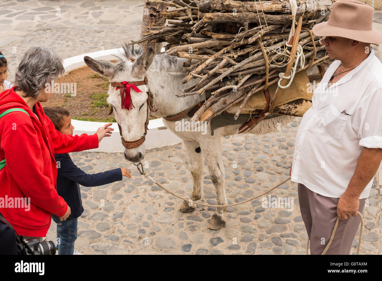 Esel last -Fotos und -Bildmaterial in hoher Auflösung – Alamy
