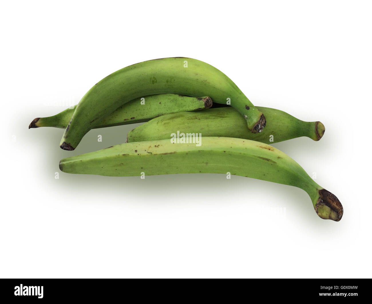 Plantain bananas -Fotos und -Bildmaterial in hoher Auflösung – Alamy