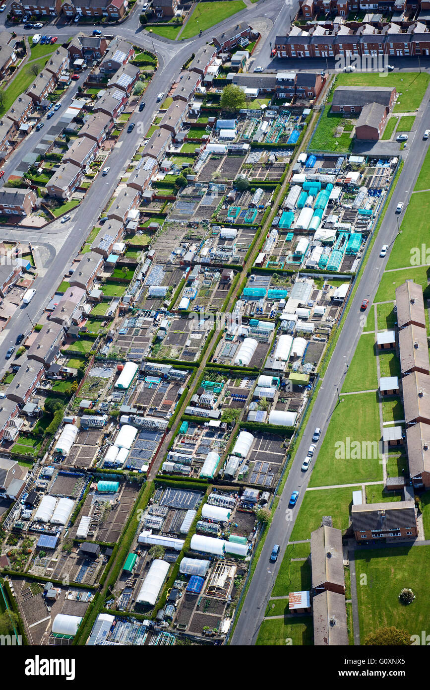 Zuteilung england -Fotos und -Bildmaterial in hoher Auflösung – Alamy