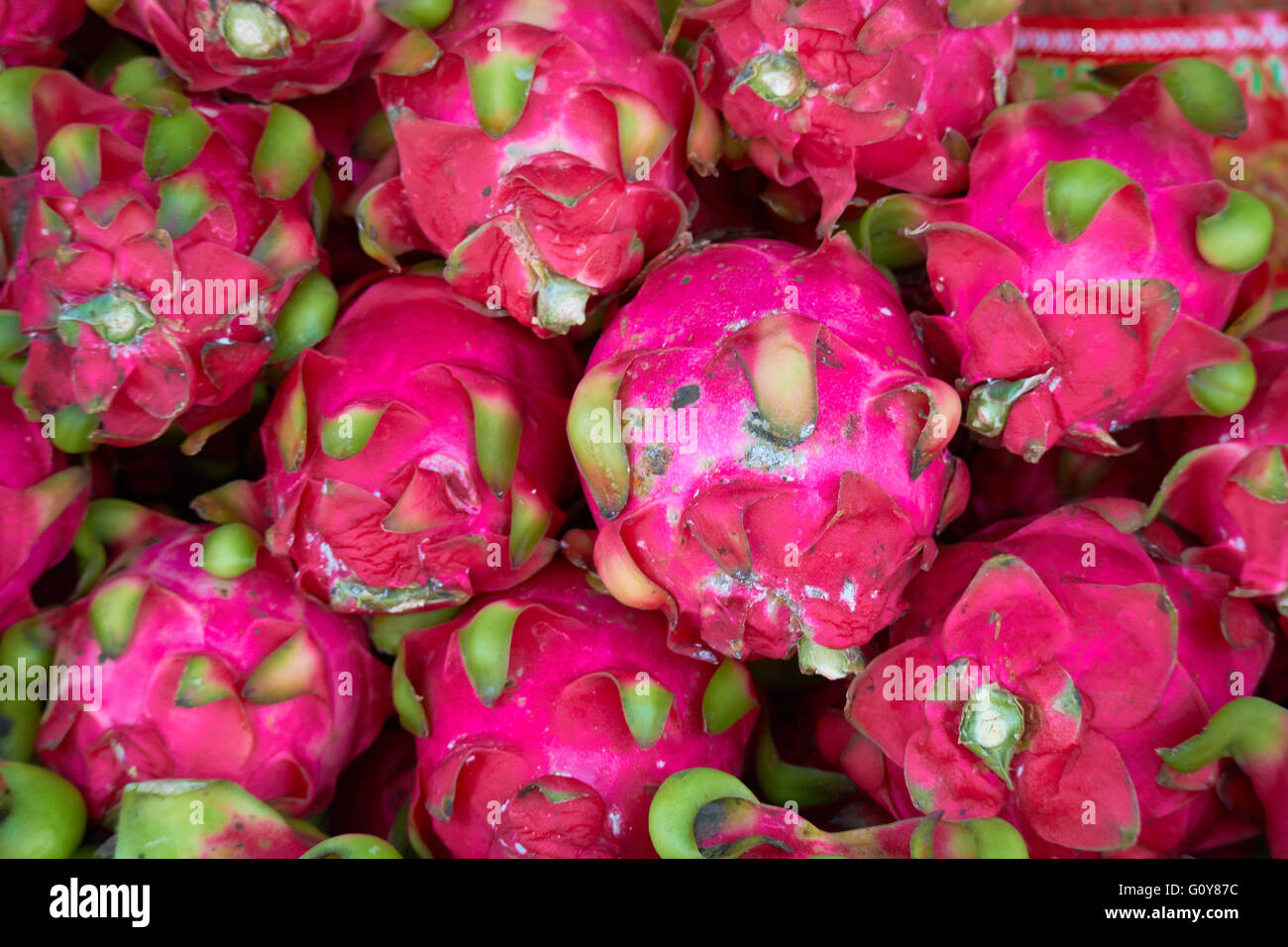 Thailand drachenfrucht -Fotos und -Bildmaterial in hoher Auflösung – Alamy