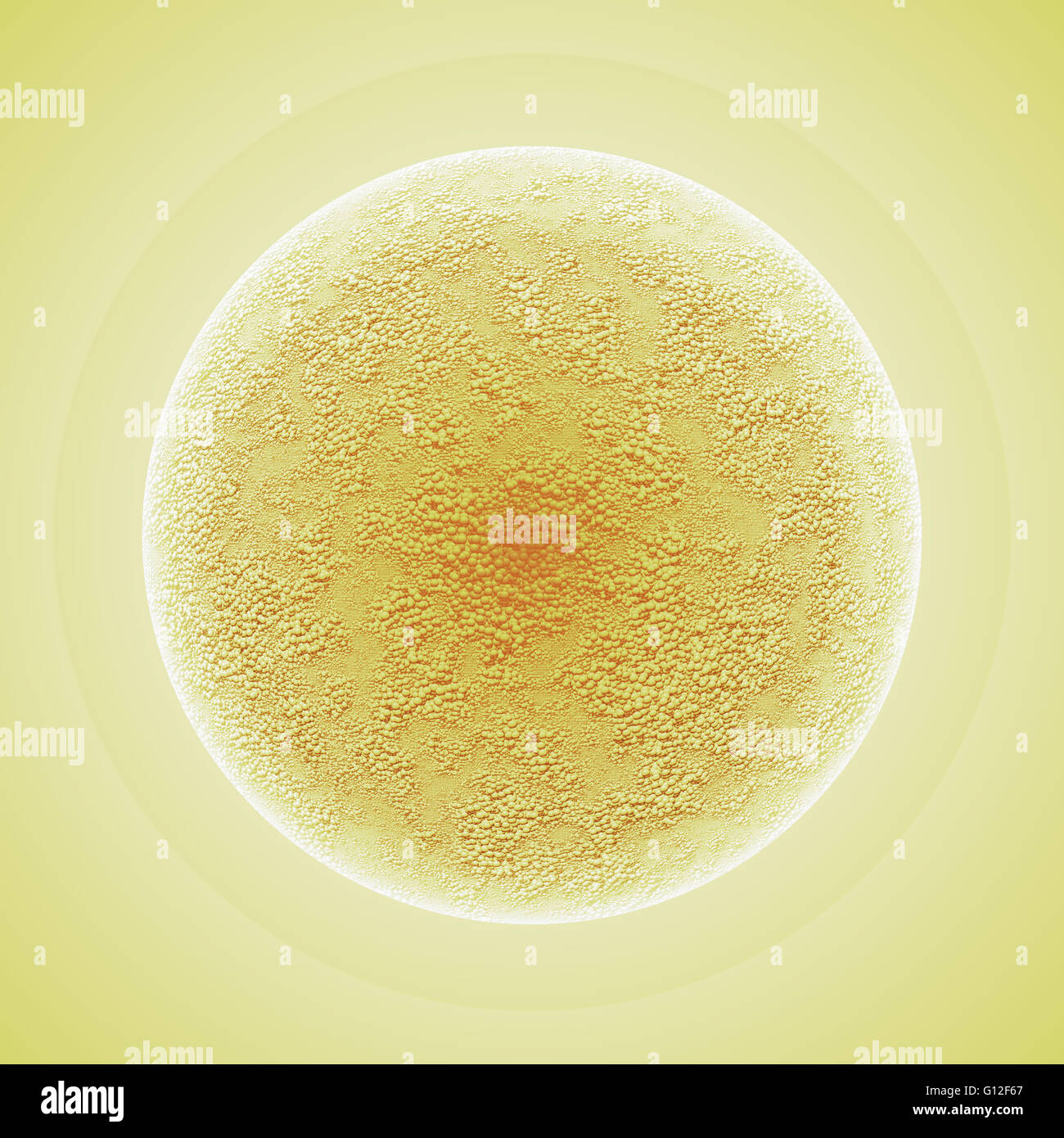 Menschliche eizelle -Fotos und -Bildmaterial in hoher Auflösung – Alamy