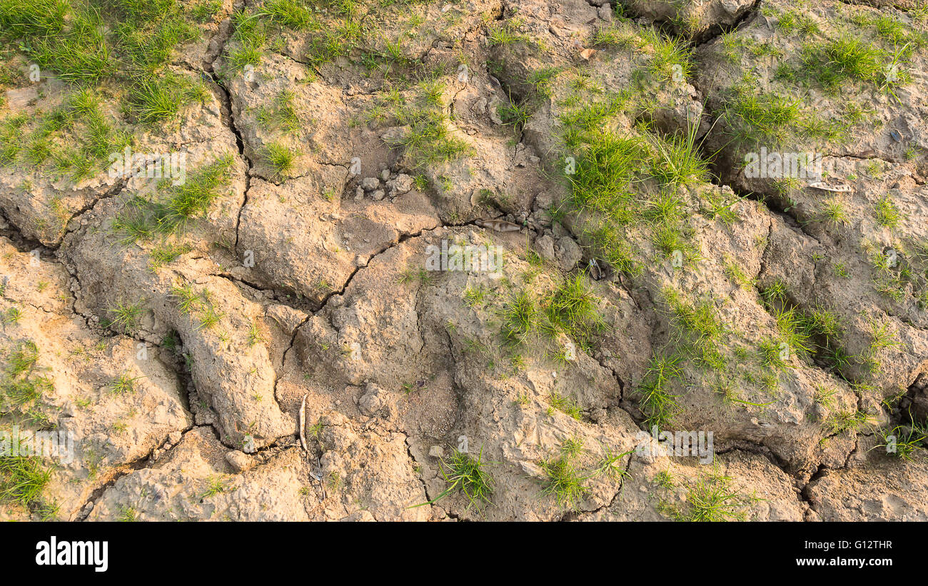 Earth grass soil background texture -Fotos und -Bildmaterial in hoher ...