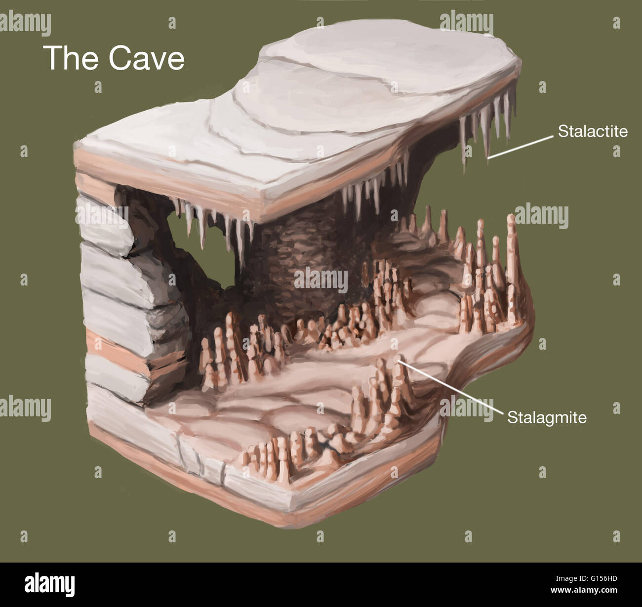 Illustration von Stalaktiten und Stalagmiten in einer Höhle ...