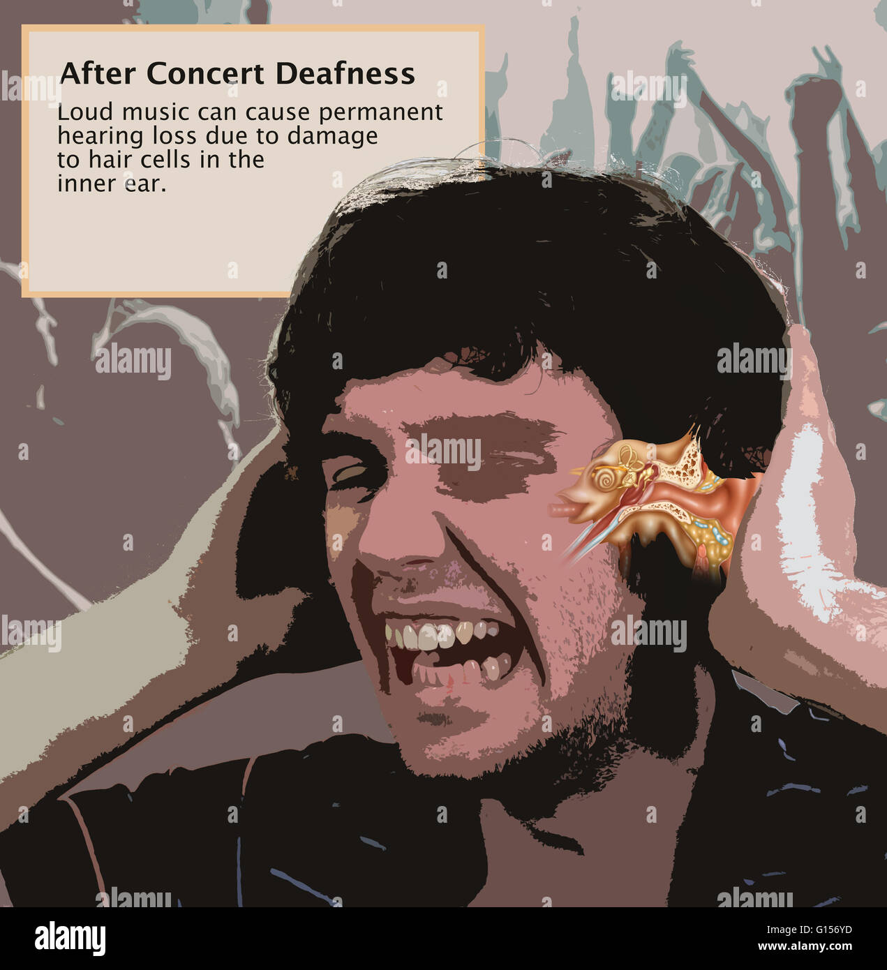 Haarzellen im innenohr -Fotos und -Bildmaterial in hoher Auflösung – Alamy