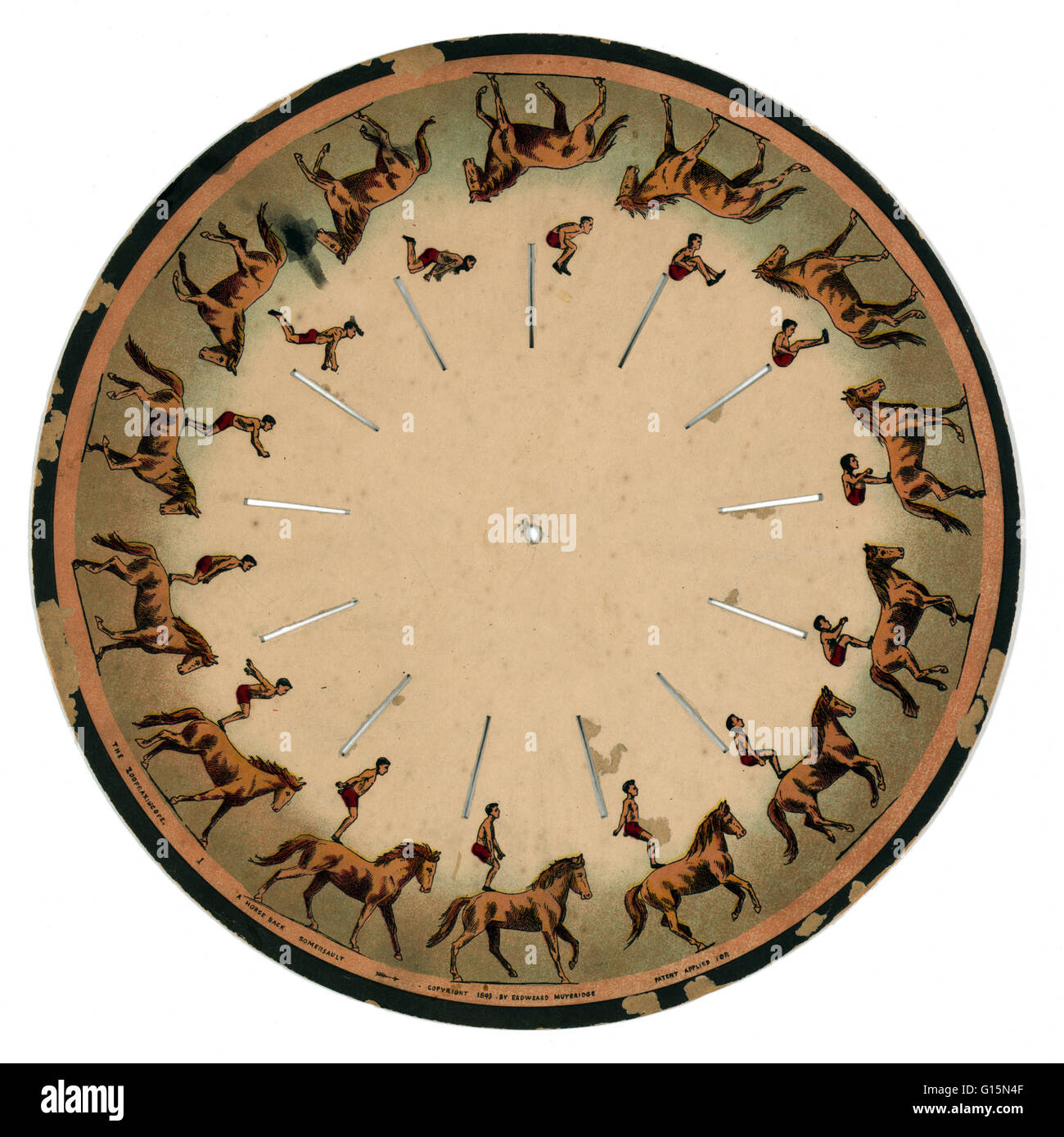 Eadweard muybridge horse -Fotos und -Bildmaterial in hoher Auflösung ...