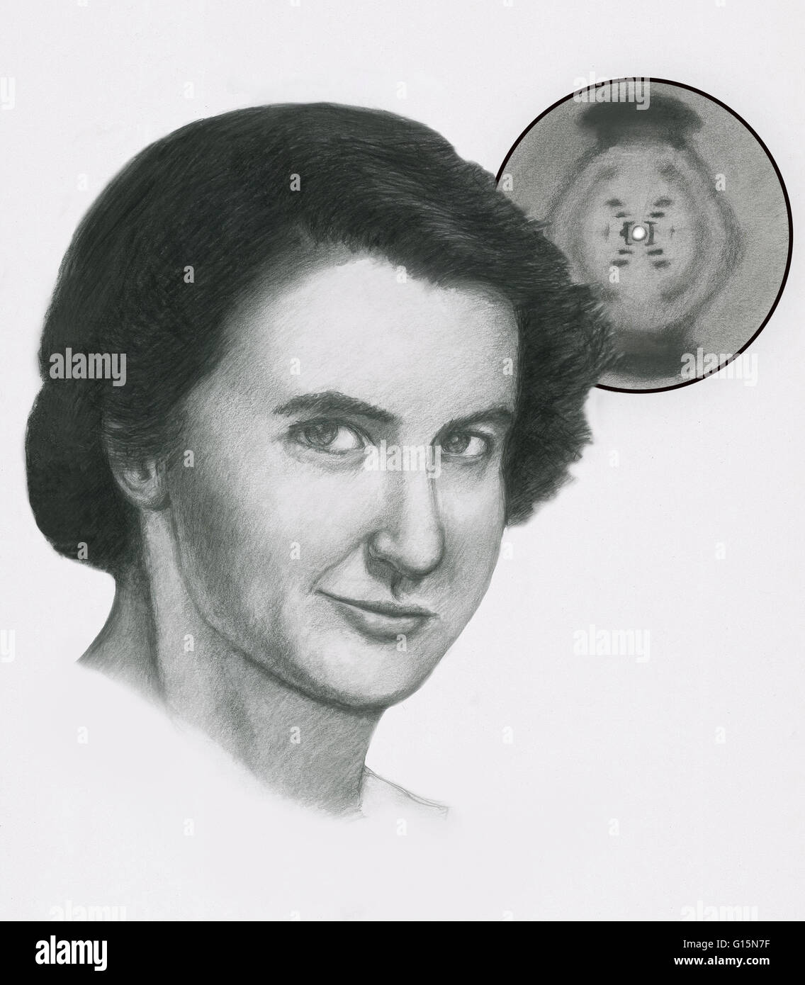 Rosalind elsie franklin -Fotos und -Bildmaterial in hoher Auflösung – Alamy