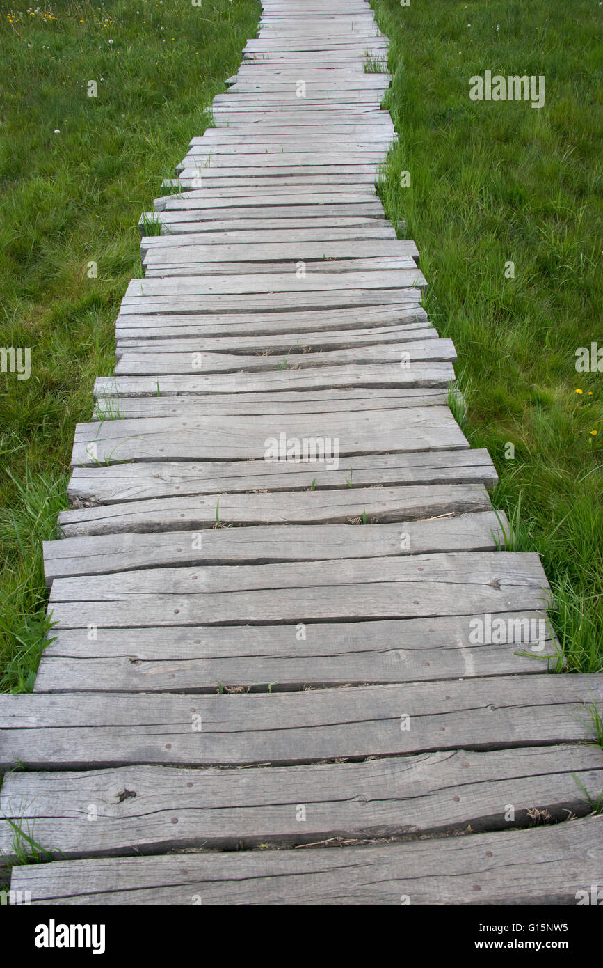 Gehweg durch langes gras -Fotos und -Bildmaterial in hoher Auflösung ...