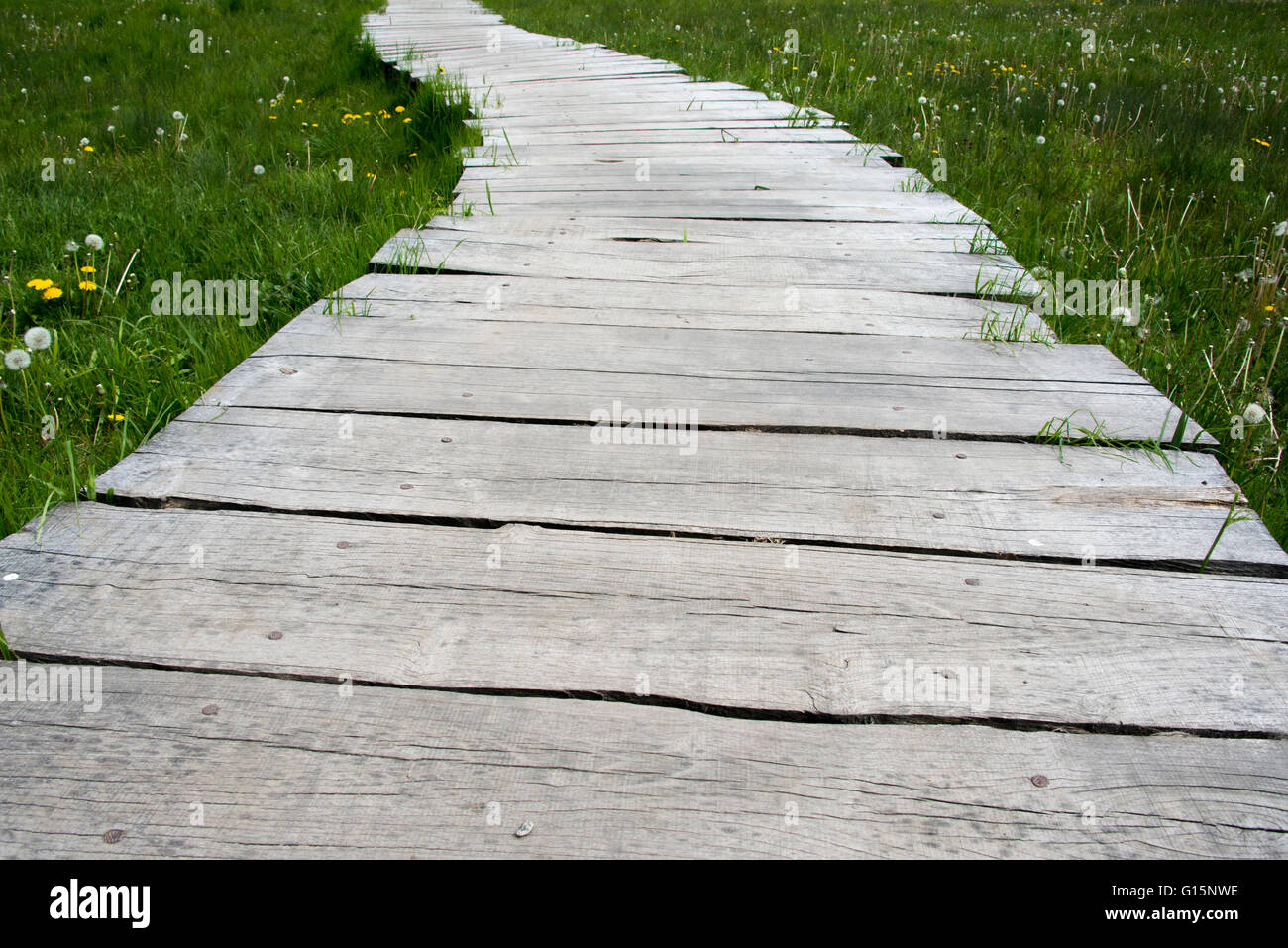 Gehweg durch langes gras -Fotos und -Bildmaterial in hoher Auflösung ...