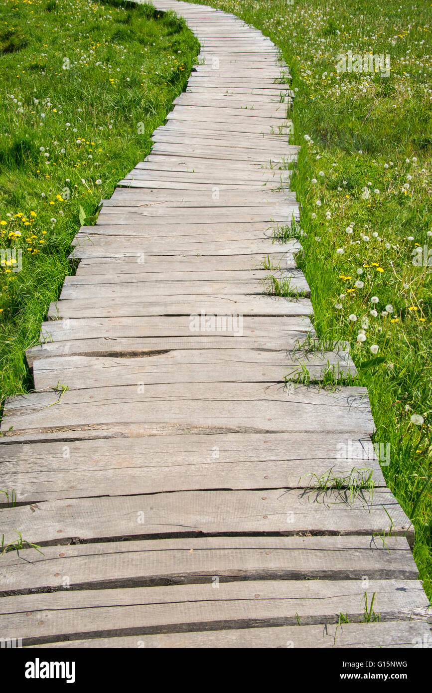 Gehweg mit Holzbrücke durch Wiese und Sumpf Stockfotografie - Alamy