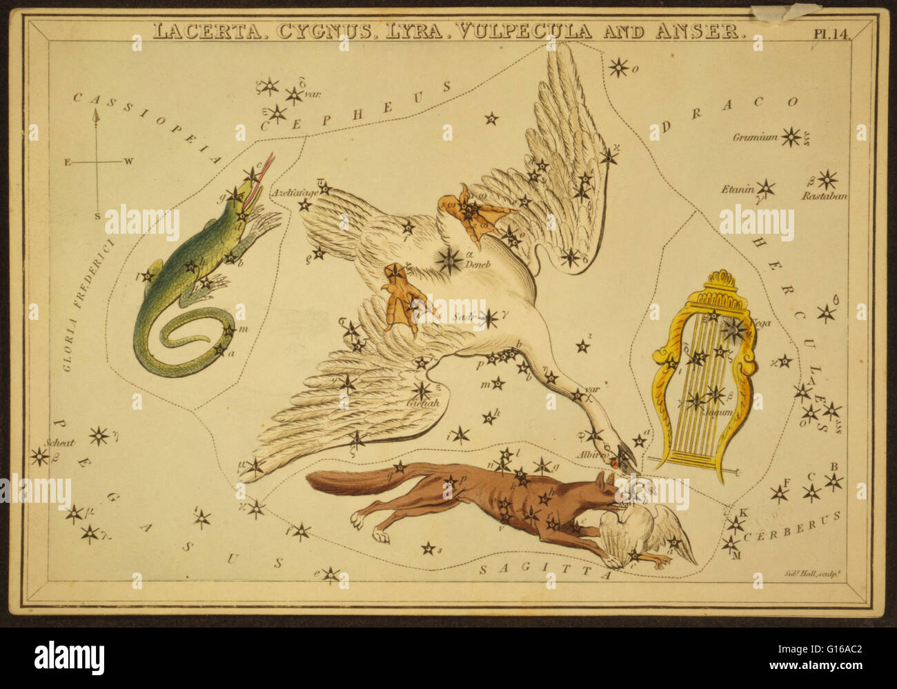 Astronomische Diagramm ein Schwan, eine Lyra, eine Eidechse und ein ...