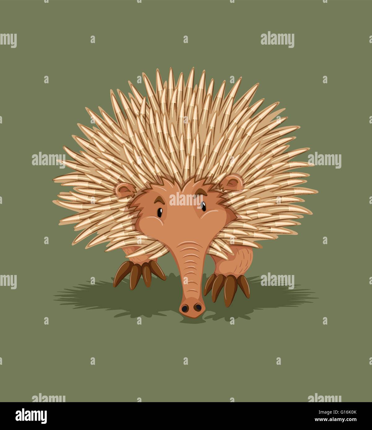 Seltener igel Stock-Vektorgrafiken kaufen - Alamy