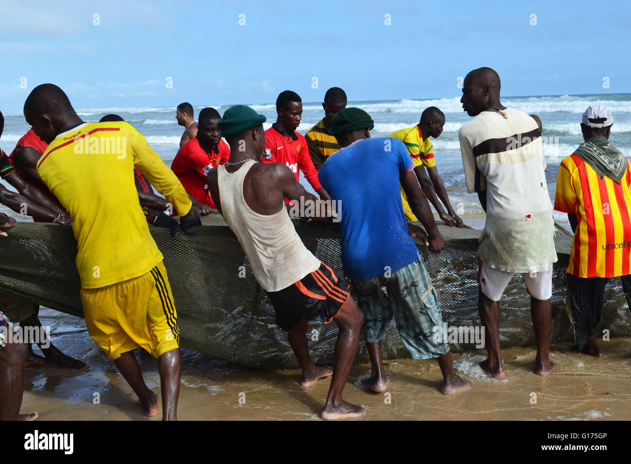 Fischer ziehen eine Netze voller Fische auf Strand, Assinie, Abidjan ...