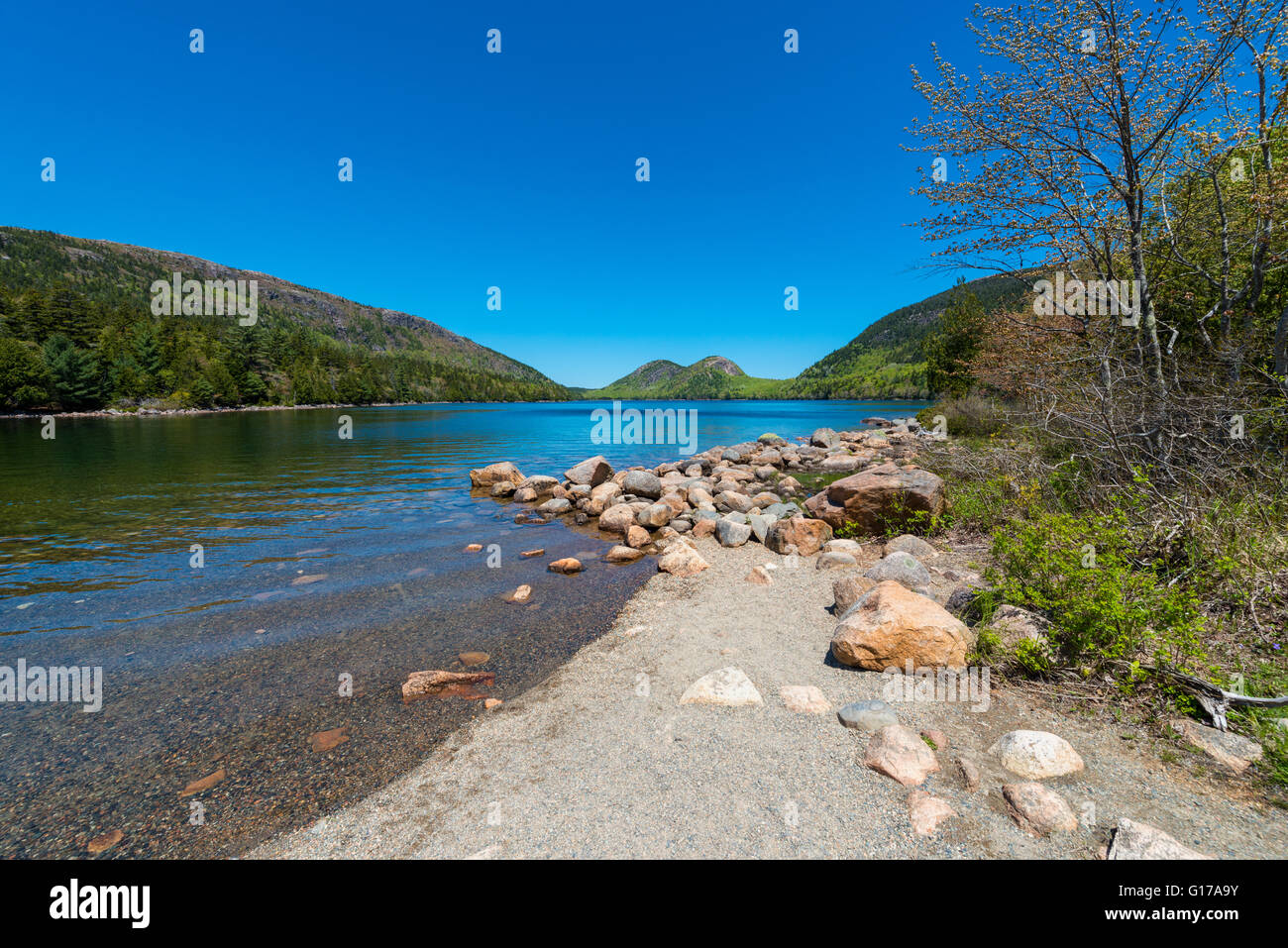 Nationalpark teich -Fotos und -Bildmaterial in hoher Auflösung – Alamy