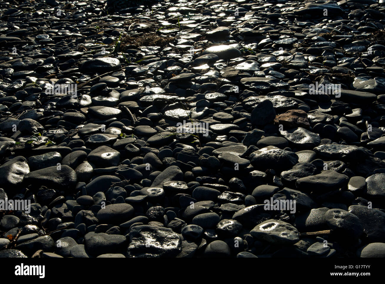 Kiesel garten -Fotos und -Bildmaterial in hoher Auflösung – Alamy