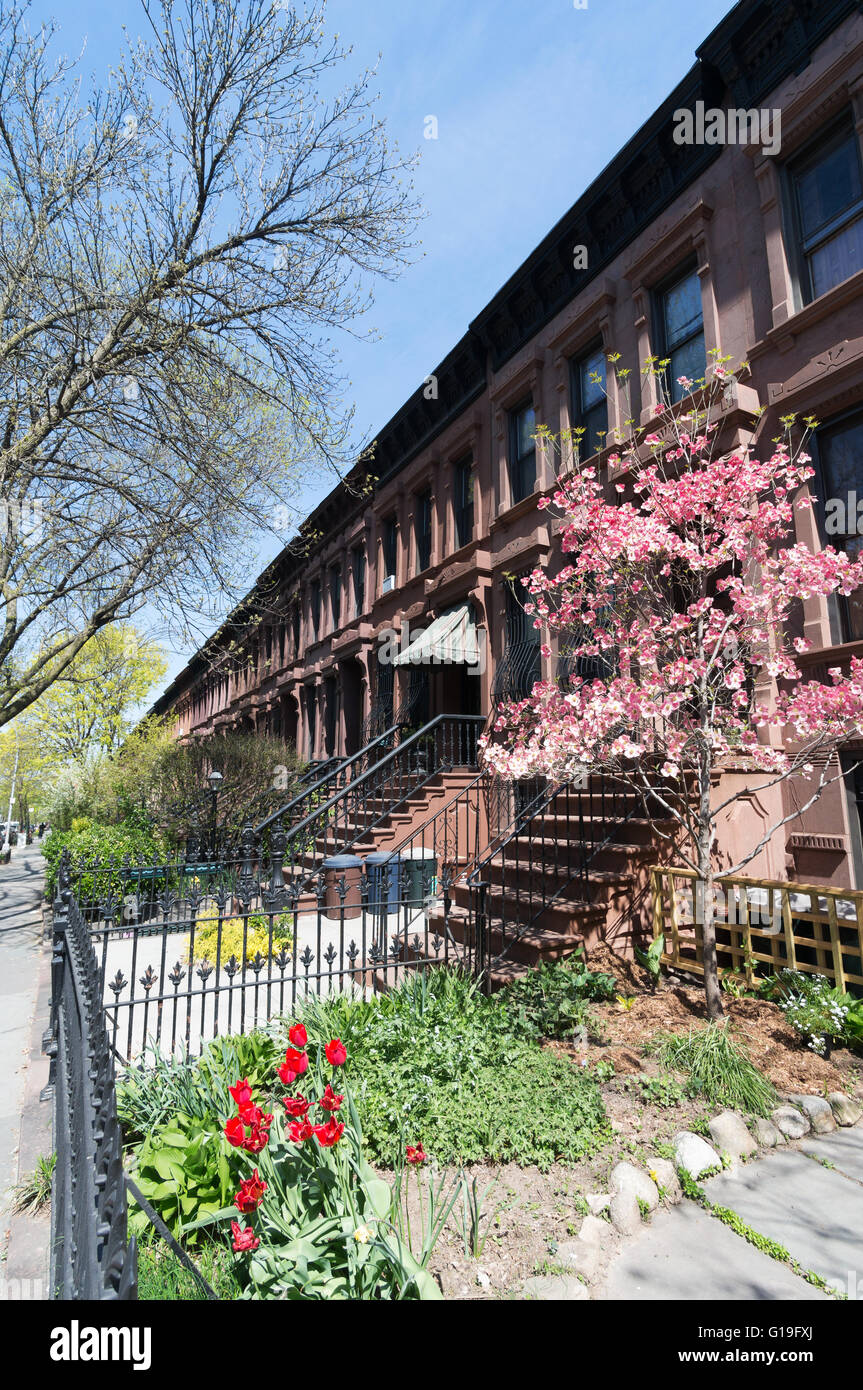 Brooklyn park slope houses -Fotos und -Bildmaterial in hoher Auflösung ...