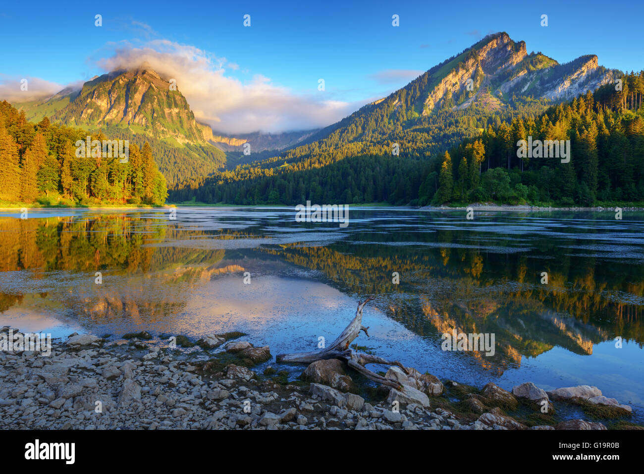 Sommermorgen auf dem fantastischen Schweizer See Obersee, erstaunlich ...