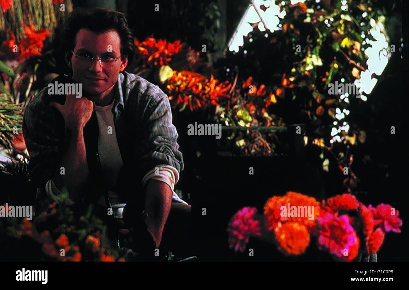 Das rosenbett -Fotos und -Bildmaterial in hoher Auflösung – Alamy