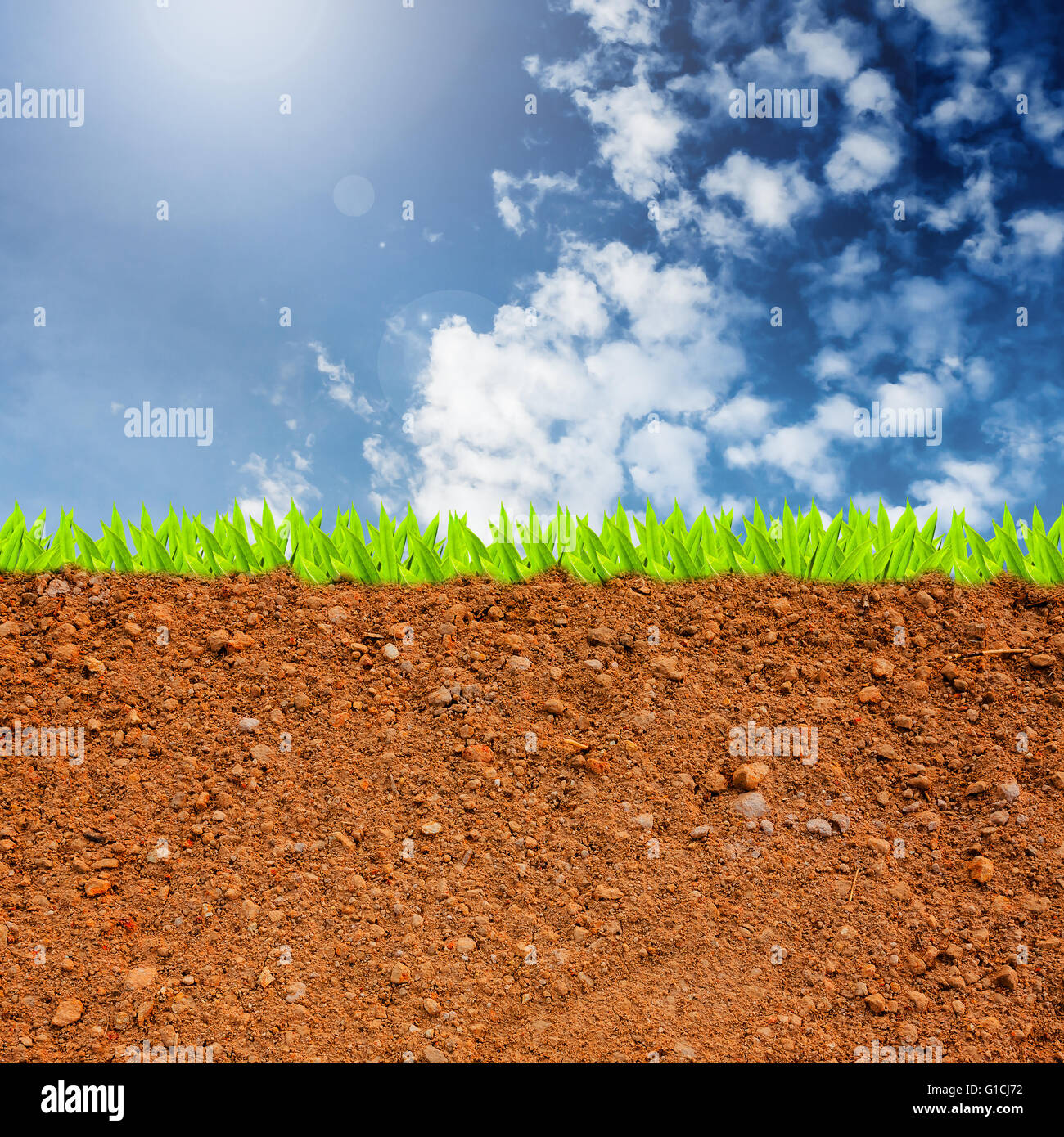 Querschnitt durch Gras und Erde gegen blauen Himmel und Wolken ...